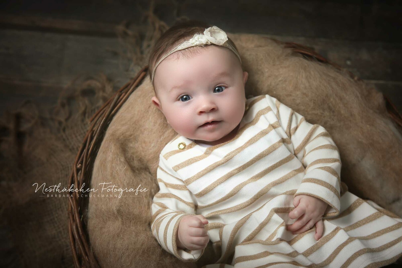 Baby- und Kleinkinderfotografie » Nesthäkchen Fotografie ...